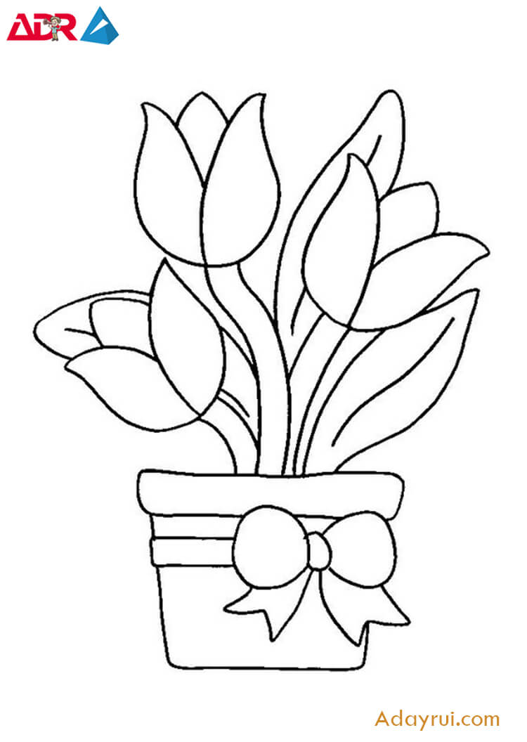 Tổng Hợp Hình Ảnh Và Video Vẽ Chậu Hoa Đơn Giản - ADAYRUI